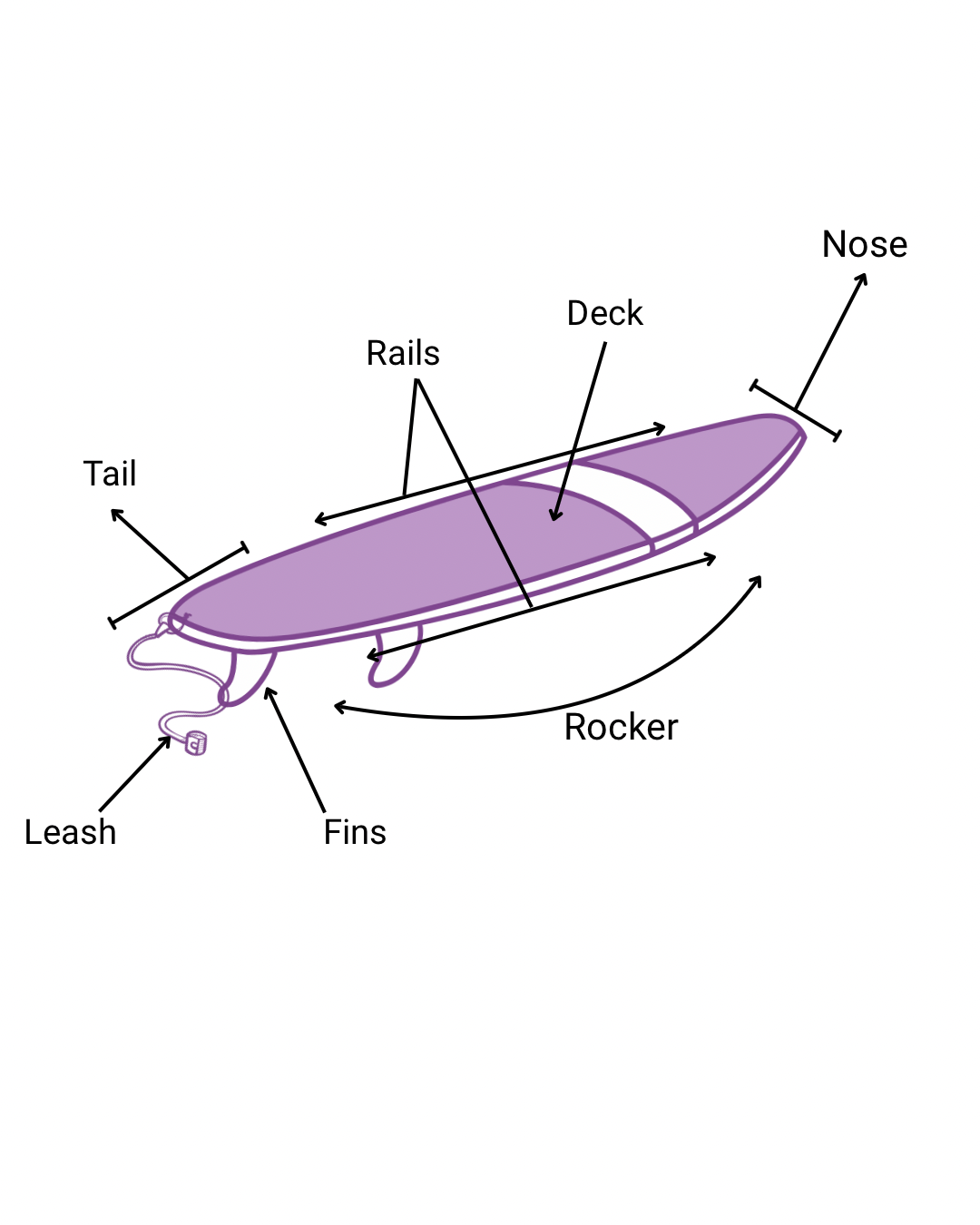 Surfboard 101: Get to Know Your Board | Waikiki Beach Services